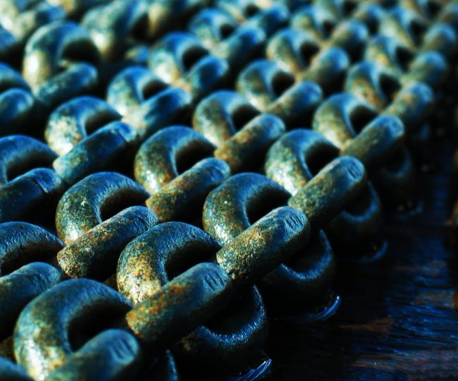 Abstract Nature Photography Creative Processes Redefined