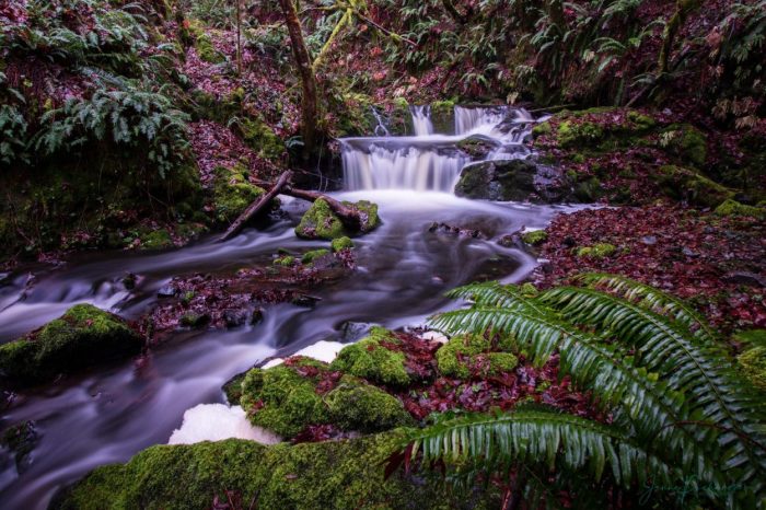 ⭐9 Iconic Oregon Waterfalls: Photography Tips for Stunning Shots