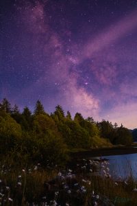 Tahsis BC: Top Guide for Trip Planning - Jenn Richardson Photo