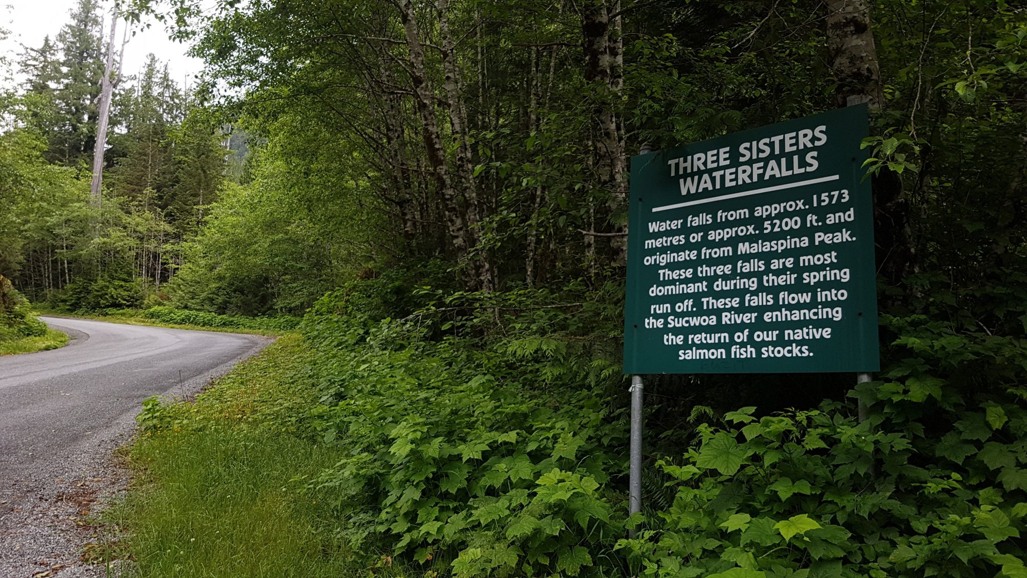 Tahsis BC: Top Guide for Trip Planning - Jenn Richardson Photo