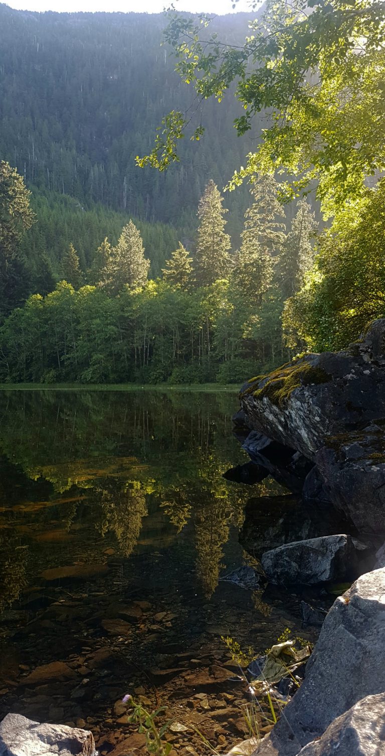 Tahsis BC: Top Guide for Trip Planning - Jenn Richardson Photo