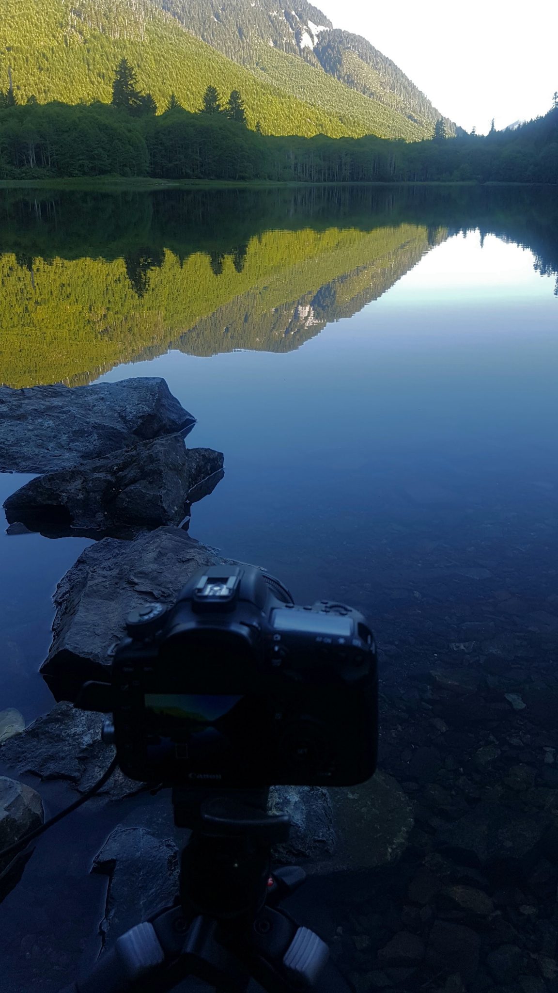 Tahsis BC: Top Guide for Trip Planning - Jenn Richardson Photo