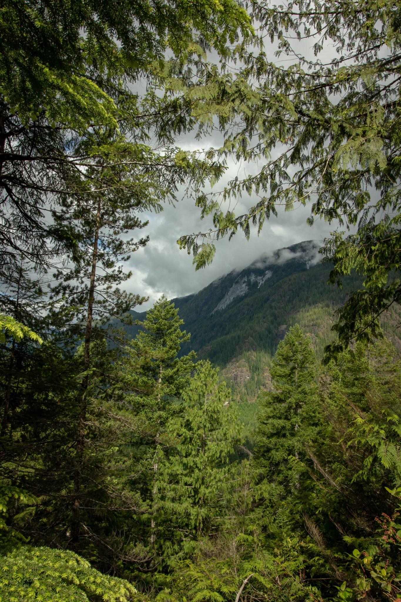 Tahsis BC: Top Guide for Trip Planning - Jenn Richardson Photo