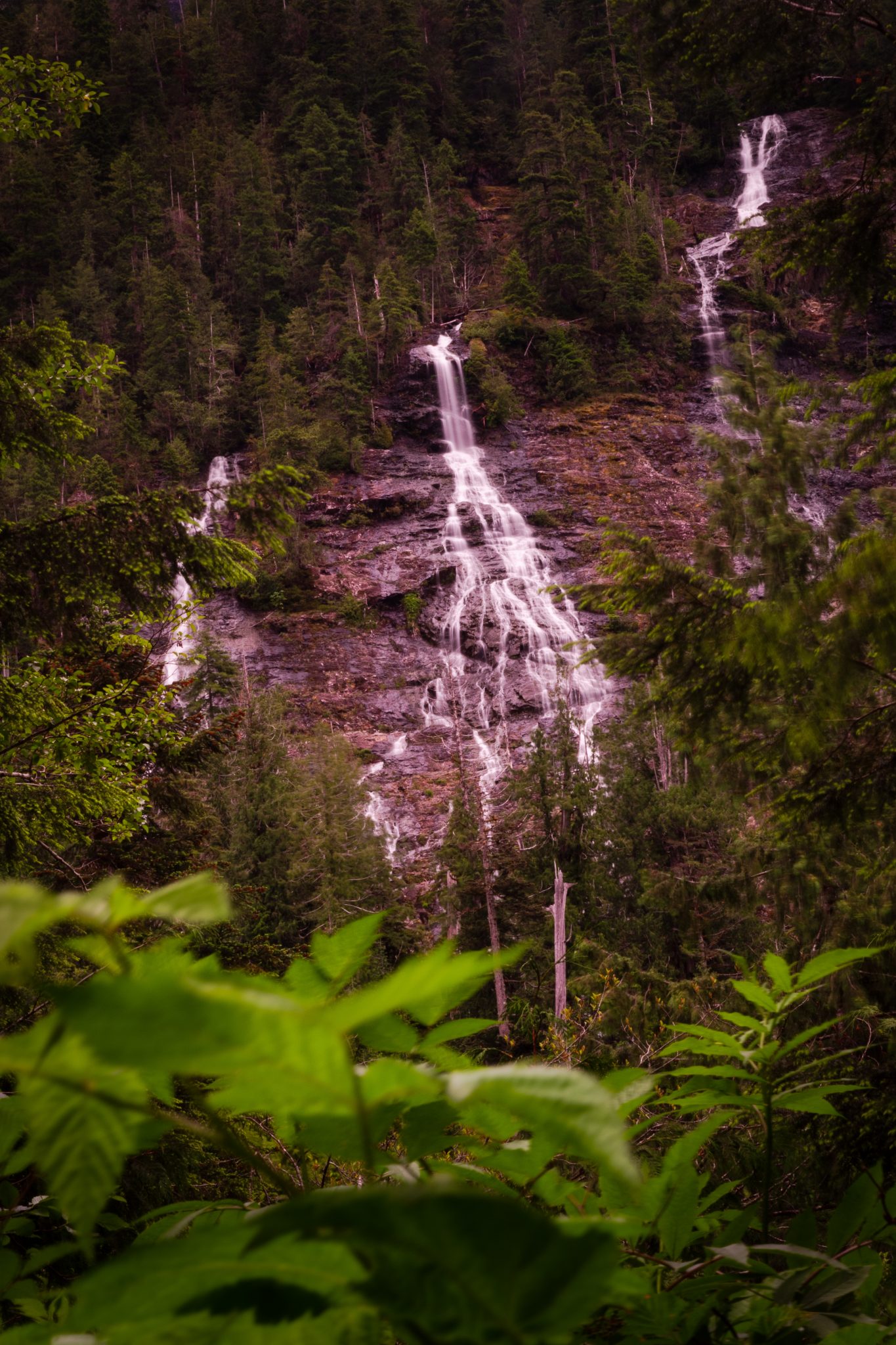 Tahsis BC: Top Guide for Trip Planning - Jenn Richardson Photo