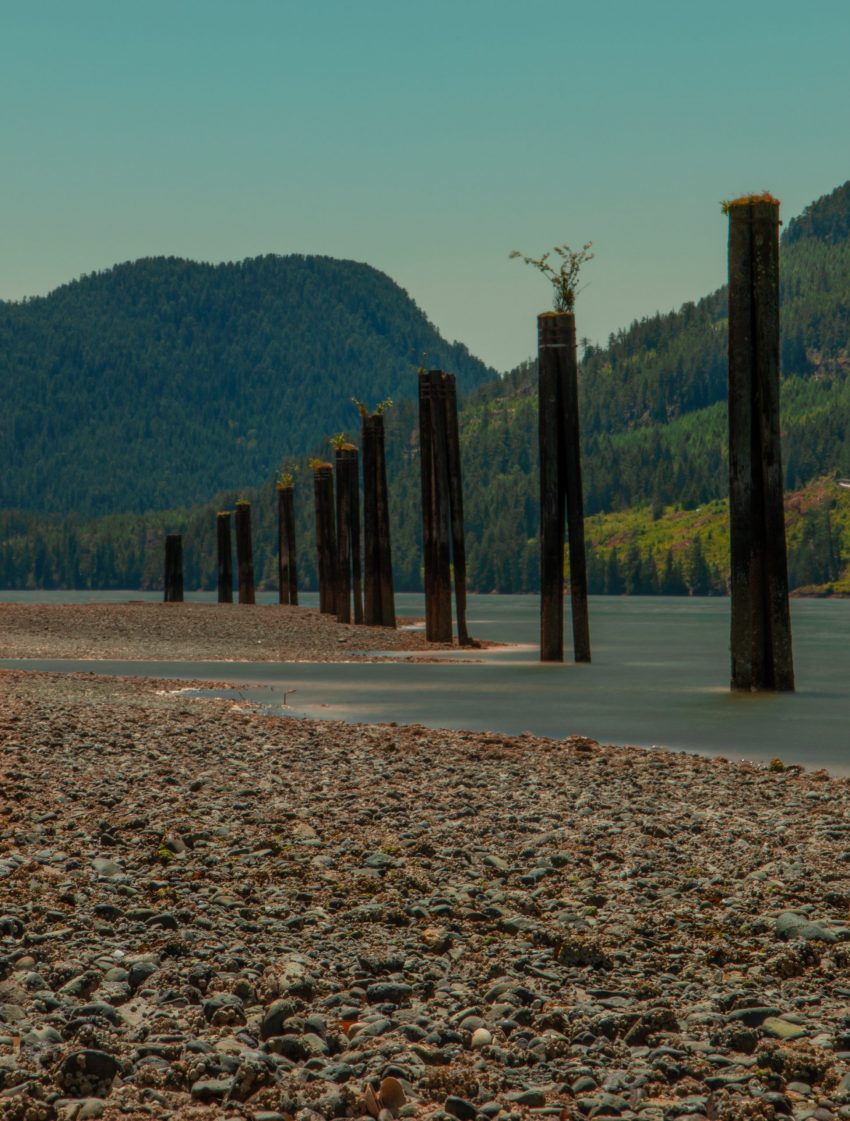 Tahsis BC: Top Guide for Trip Planning - Jenn Richardson Photo