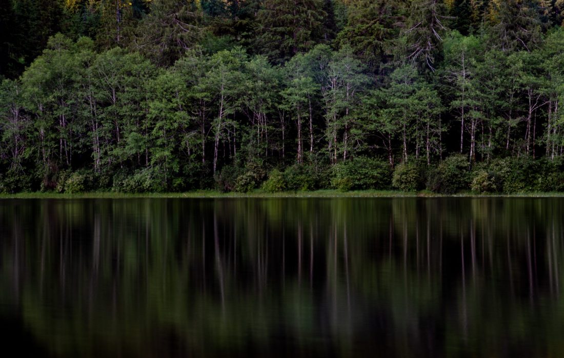 Tahsis BC: Top Guide for Trip Planning - Jenn Richardson Photo