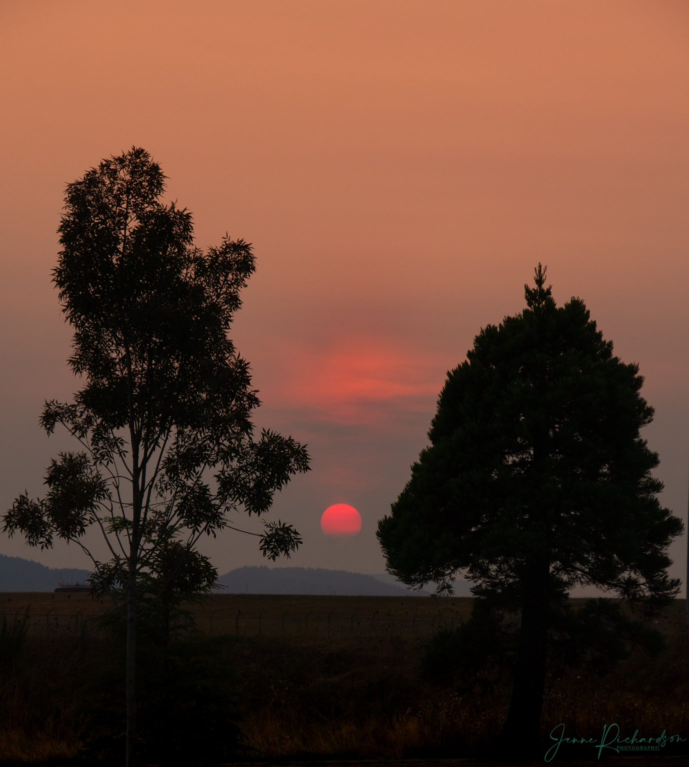 Harness The Four Elements in Photography ️ Earth Air Fire Water