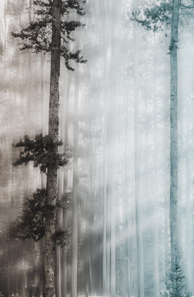 Banff Photography That Captures the Magic of Canada’s Rockies