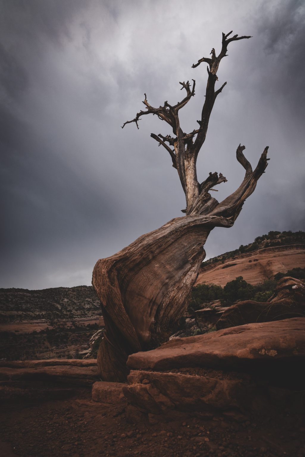 Explore Colorado’s Beauty | Fine Art Landscape Photography Gallery