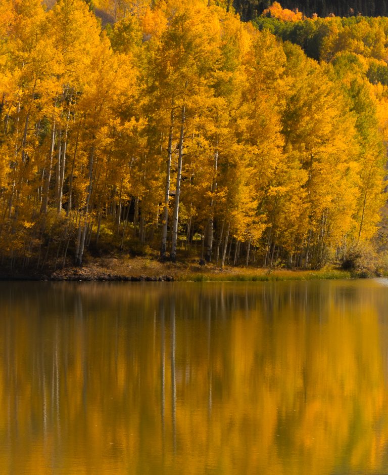Explore Colorado’s Beauty | Fine Art Landscape Photography Gallery