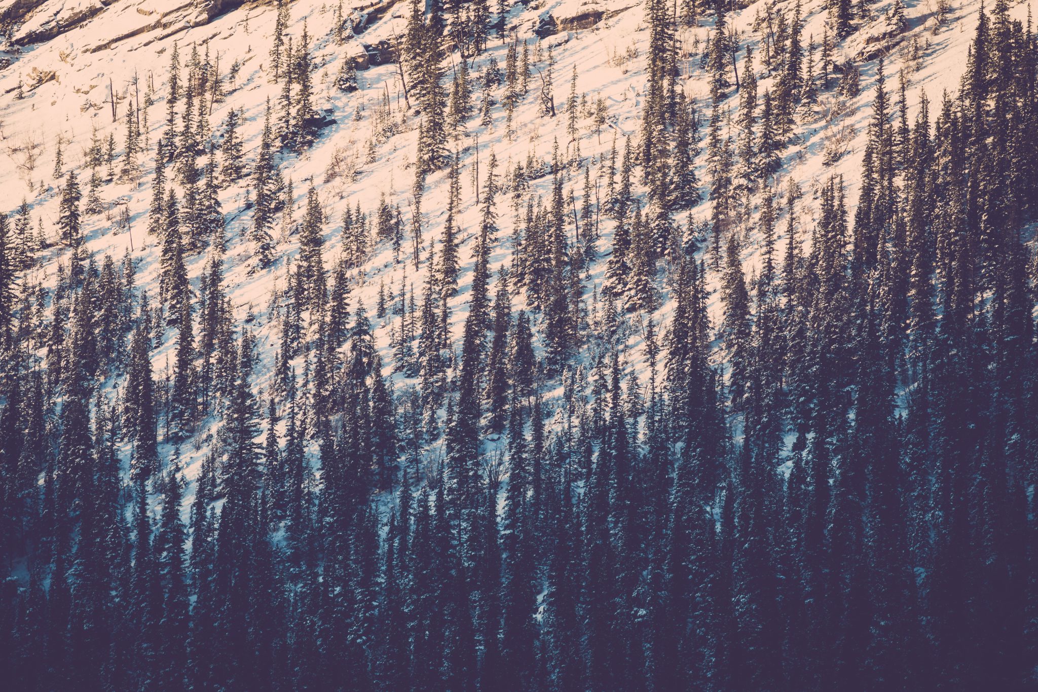 Banff Photography That Captures the Magic of Canada’s Rockies