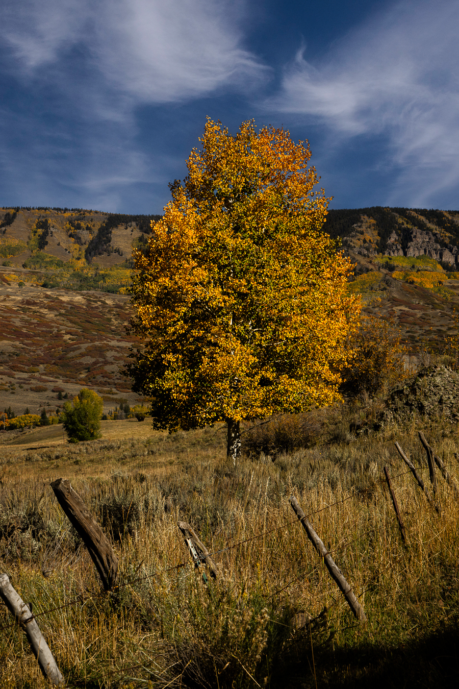 Explore Colorado’s Beauty | Fine Art Landscape Photography Gallery