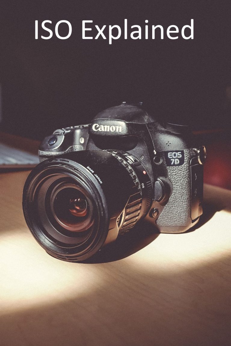ISO in Photography for Beginners: From Curious to Confident