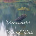 Vancouver Island Photography Tour - Waterfalls, Beaches, Ancient Forests