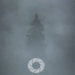 Fog Photography Made Easy: How to Capture Magical Misty Landscapes